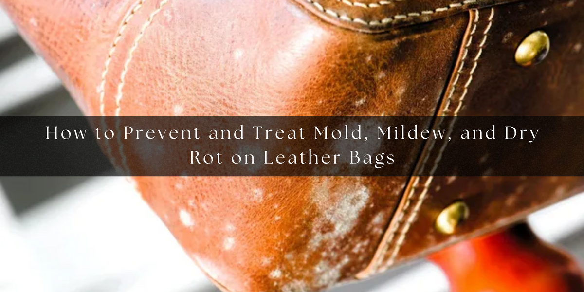 How to Prevent and Treat Mold, Mildew, and Dry Rot on Leather Bags ...