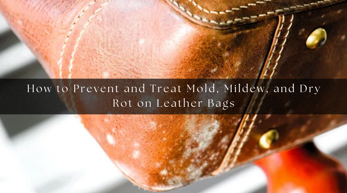 How to Prevent and Treat Mold, Mildew, and Dry Rot on Leather Bags ...
